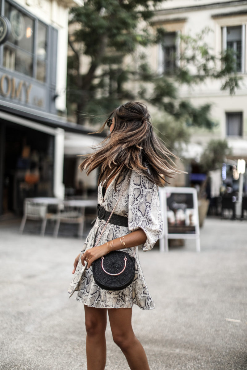 Passion python | JUNE Sixty-Five - Blog Mode